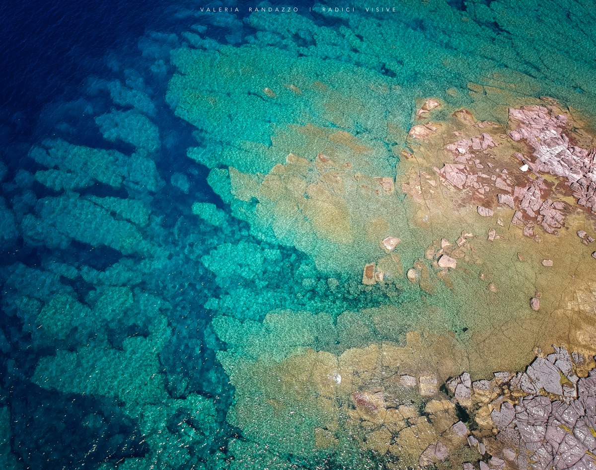 REACT @ Carloforte! - REACT 2020